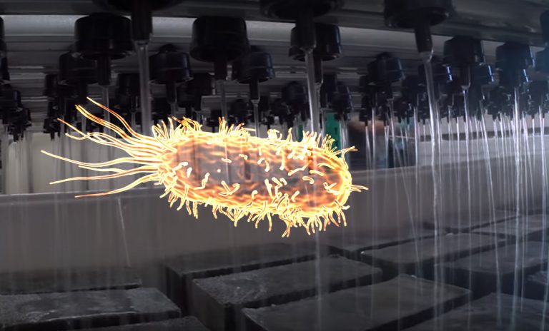 A revolutionary way to “grow” building bricks using bacteria and sand ...