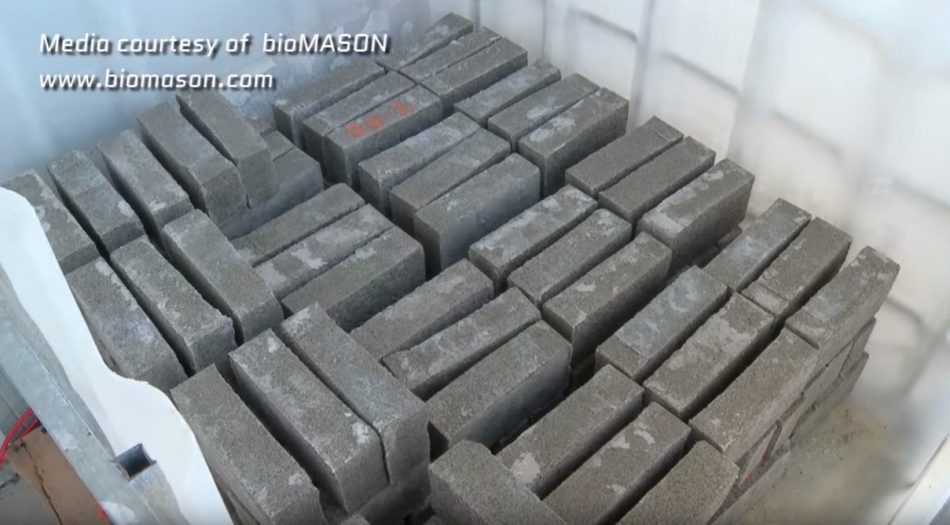 A revolutionary way to “grow” building bricks using bacteria and sand ...